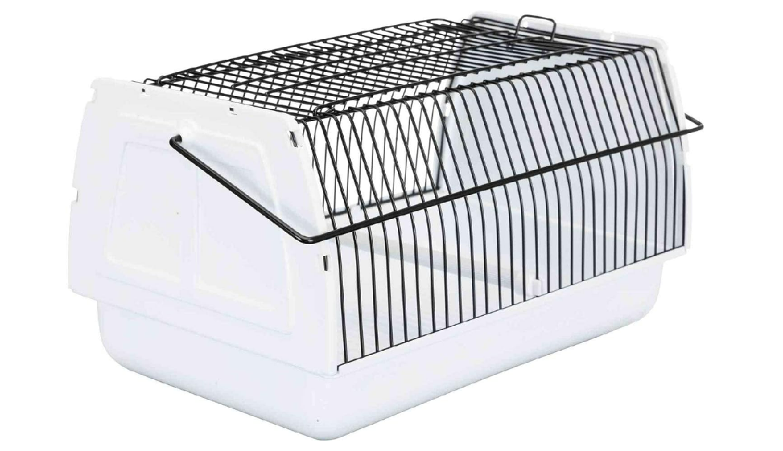 Trixe Transport Box for Birds & Small Animals 22 x 14 x 15cm – Uncle ...
